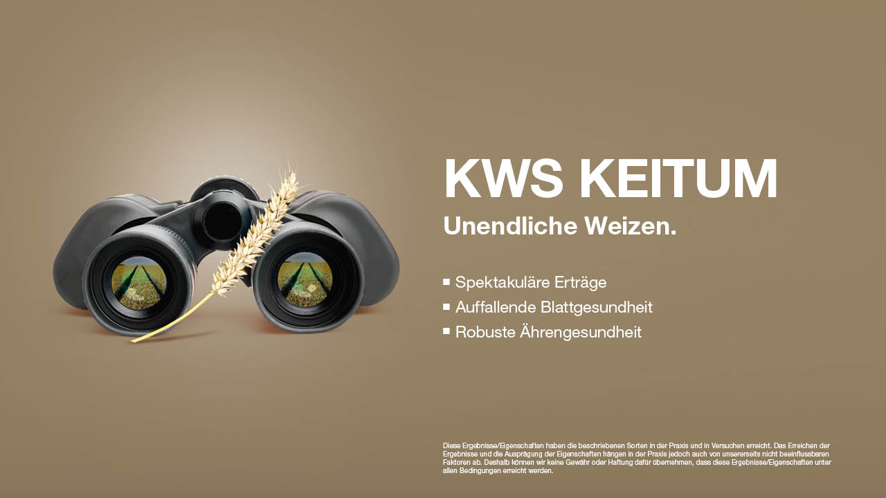 Winterweizen KWS Keitum von KWS Saat | HETAIROS.com by agrarheute